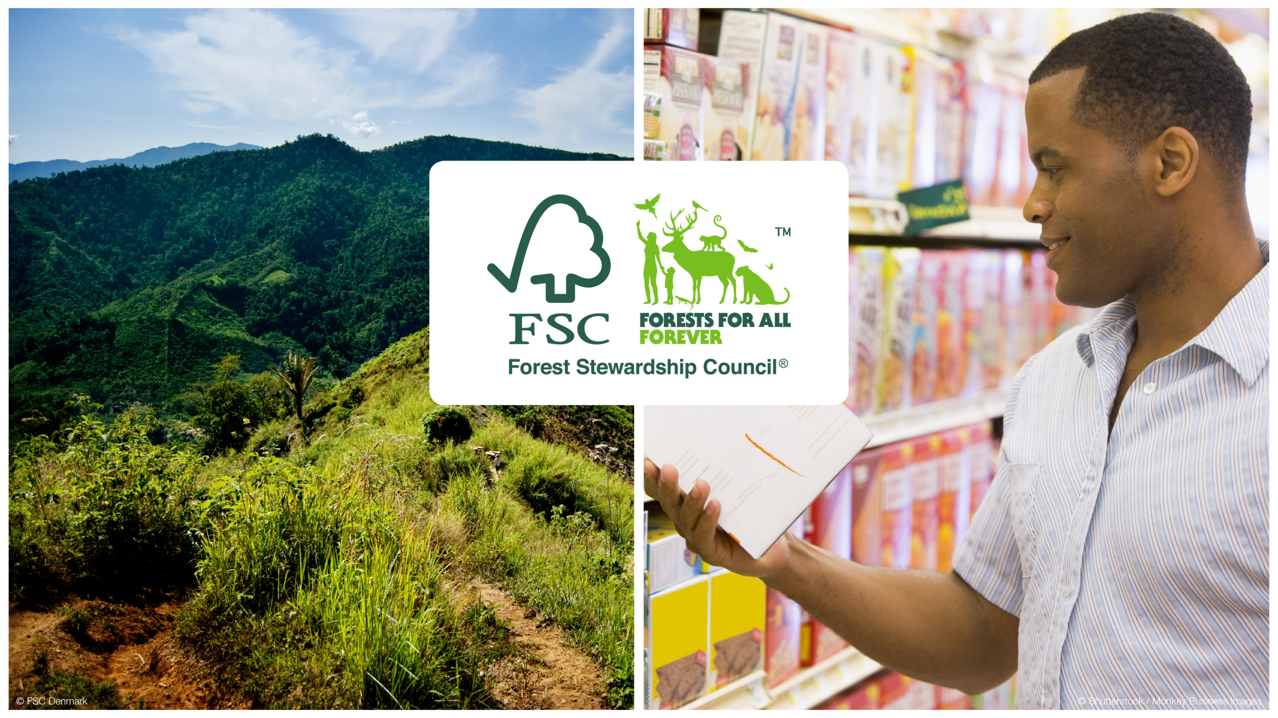 Upcoming Webinar | FSC and GlobeScan on Targeting Untapped Global ...