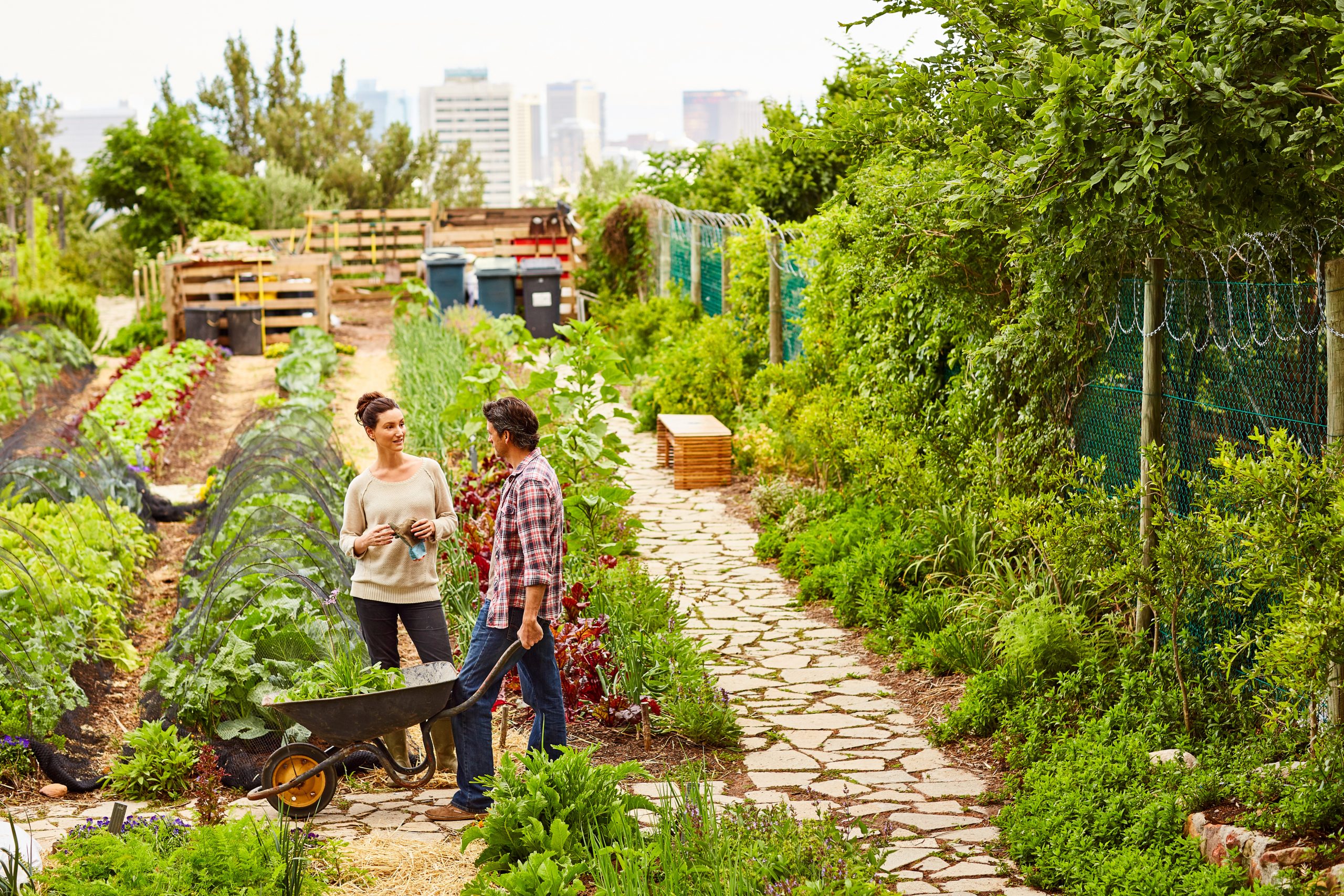 Looking Ahead to the 2020 Healthy and Sustainable Living Research Program