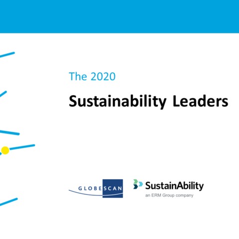 2020 Sustainability Leaders Survey Results | GlobeScan Report