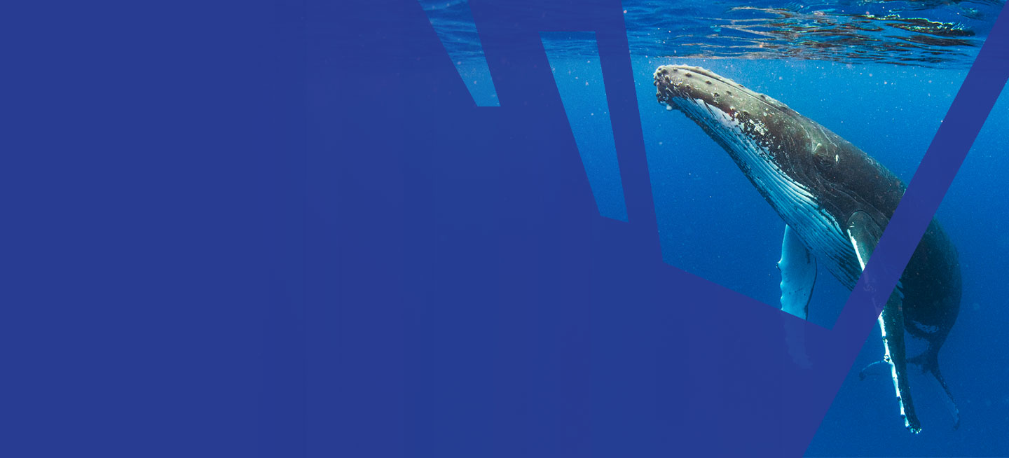 GlobeScan | Know your world. Lead the future.