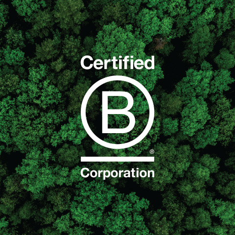 The B Corp Movement - All In Podcast - GlobeScan | Know your world ...